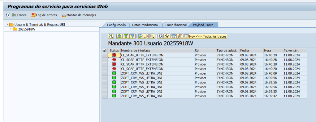 Errores en SAP – Logs del sistema – Jorge Ocampos