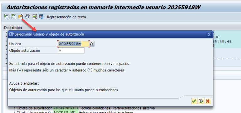 Errores en SAP – Logs del sistema – Jorge Ocampos